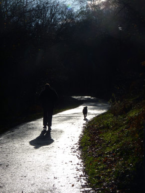 Bathpool Country Park - Woodland Trust