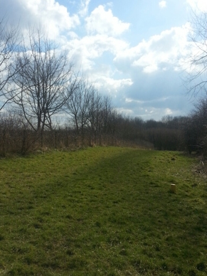 Billingham Beck Country Park - Woodland Trust