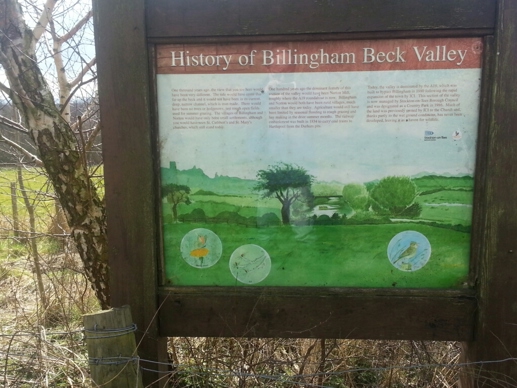 Billingham Beck Country Park - Woodland Trust