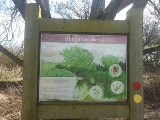Billingham Beck Country Park - Woodland Trust