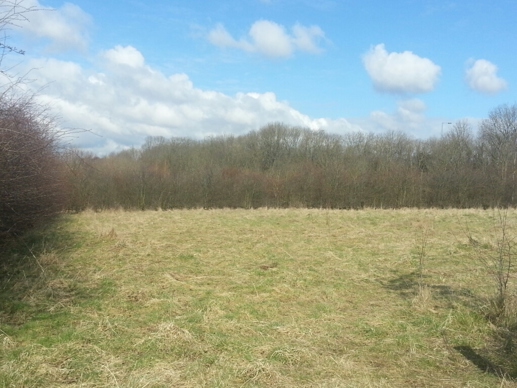 Billingham Beck Country Park - Woodland Trust