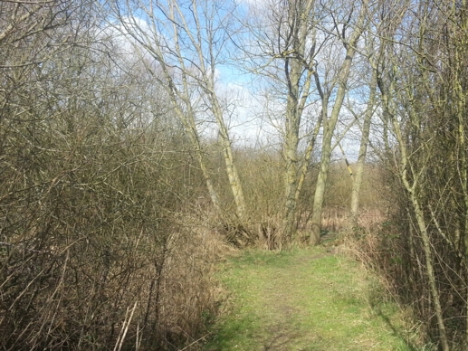 Billingham Beck Country Park - Woodland Trust