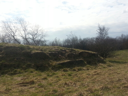 Billingham Beck Country Park - Woodland Trust