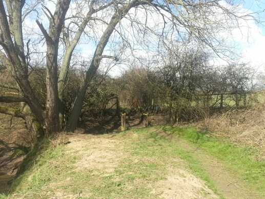 Billingham Beck Country Park - Woodland Trust