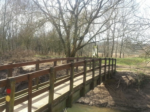 Billingham Beck Country Park - Woodland Trust