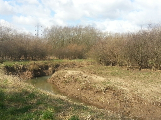 Billingham Beck Country Park - Woodland Trust