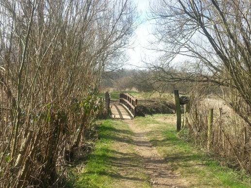 Billingham Beck Country Park - Woodland Trust