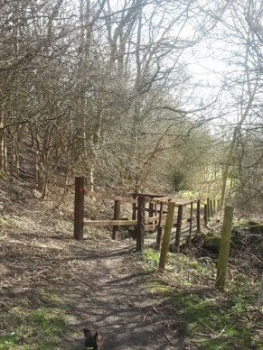 Billingham Beck Country Park - Woodland Trust