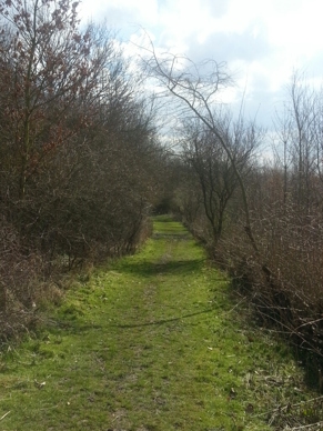 Billingham Beck Country Park - Woodland Trust