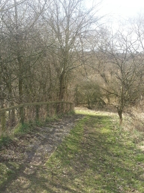 Billingham Beck Country Park - Woodland Trust