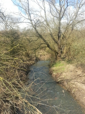 Billingham Beck Country Park - Woodland Trust
