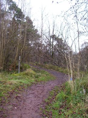 Glencryan Woodland - Woodland Trust