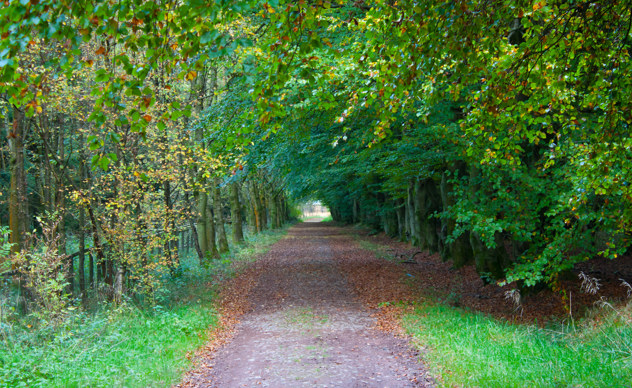 Palacerigg Country Park - Woodland Trust