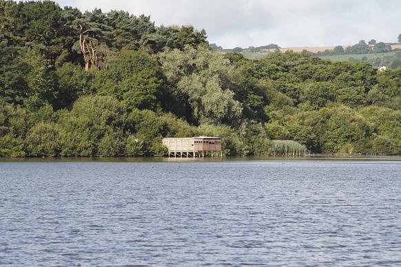 Chard Reservoir - Woodland Trust