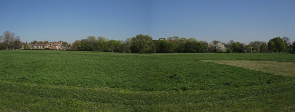 Putney Lower Common - Woodland Trust