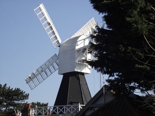 Putney Heath - Woodland Trust