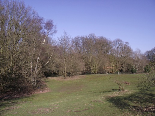 Putney Heath - Woodland Trust
