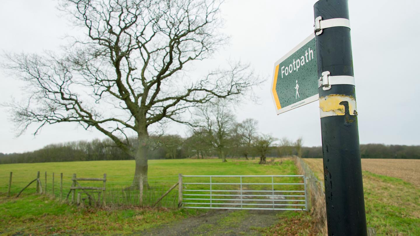 Hucking Estate - Visiting Woods - Woodland Trust