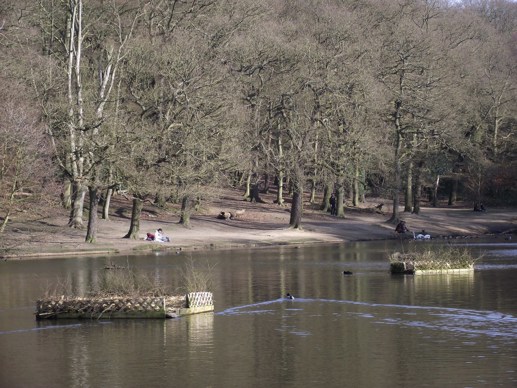 Putney Heath - Woodland Trust