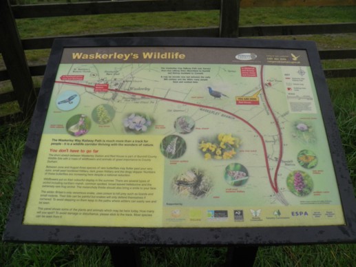 Waskerley Way Railway Path - Woodland Trust