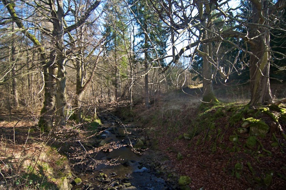 Waskerley Way Railway Path - Woodland Trust