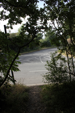 Cheshunt Park - Woodland Trust