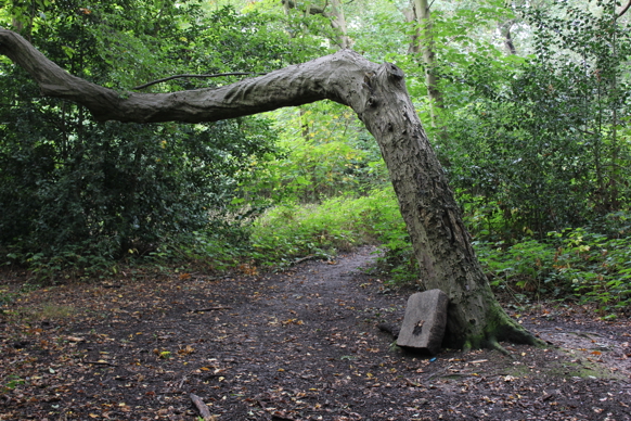 Cheshunt Park - Woodland Trust