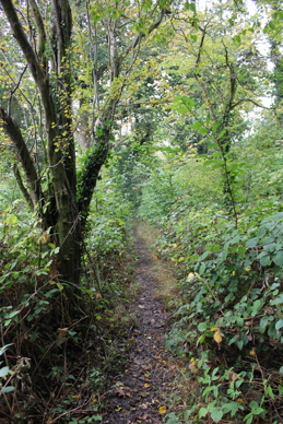Cheshunt Park - Woodland Trust