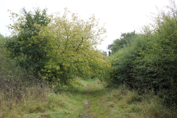 Cheshunt Park - Woodland Trust
