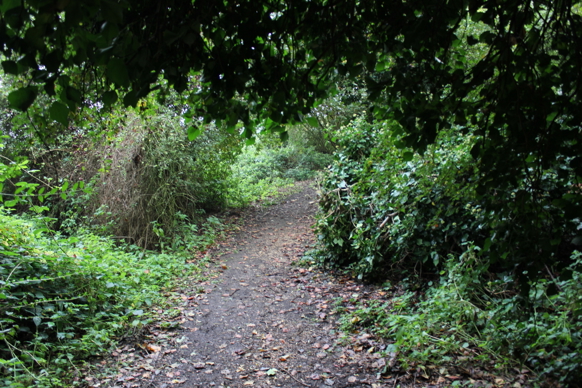 Cheshunt Park - Woodland Trust
