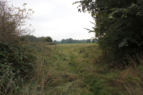 Cheshunt Park - Woodland Trust