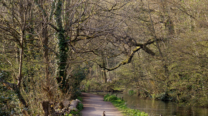 Forest Farm Country Farm - Woodland Trust