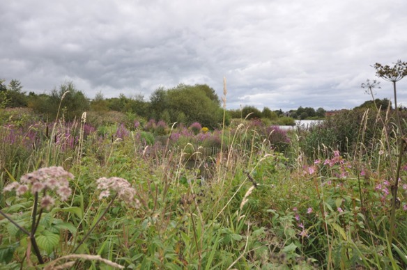 Doffcocker Lodge - Woodland Trust
