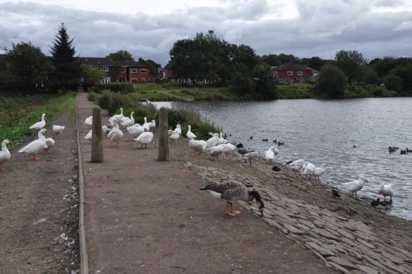 Doffcocker Lodge - Woodland Trust