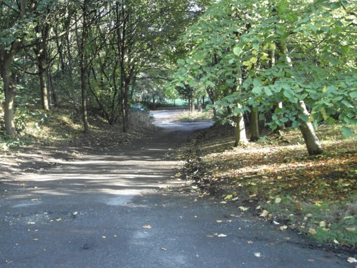 Hacken Lane - Woodland Trust