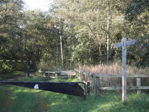 Hacken Lane - Woodland Trust