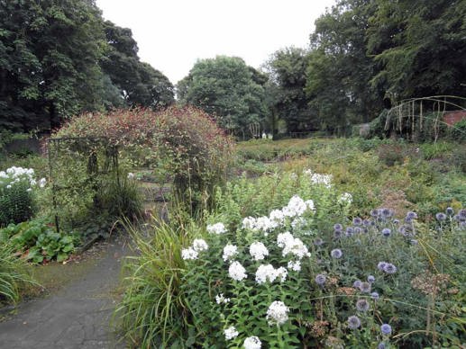 Moss Bank - Woodland Trust