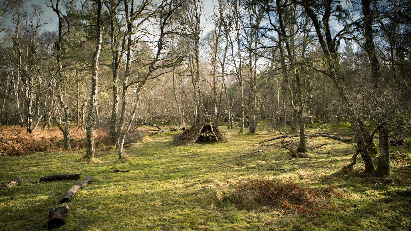 Ledmore & Migdale - Visiting Woods - Woodland Trust