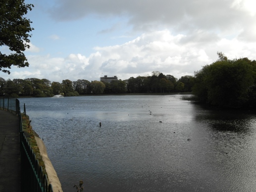 Taylor Park - Woodland Trust