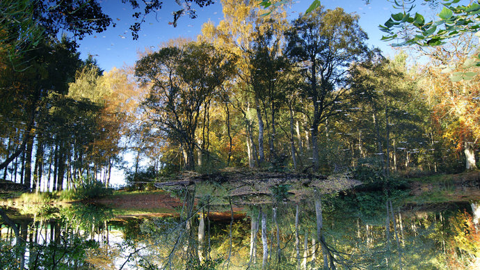 Aden Country Park - Woodland Trust