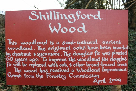Shillingford Wood - Woodland Trust