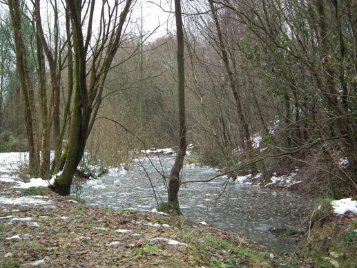 Crowborough Country Park LNR - Woodland Trust