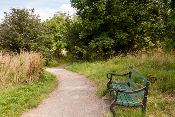 Sedgefield Borough Council - Woodland Trust