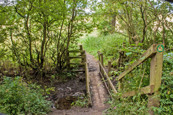 Sedgefield Borough Council - Woodland Trust