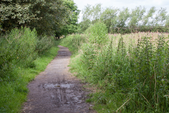 Sedgefield Borough Council - Woodland Trust