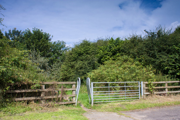 Sedgefield Borough Council - Woodland Trust