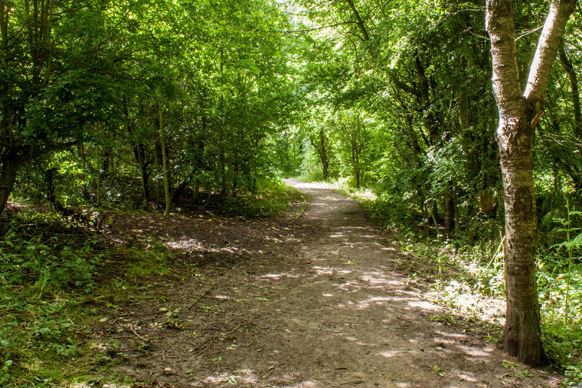 Sedgefield Borough Council - Woodland Trust