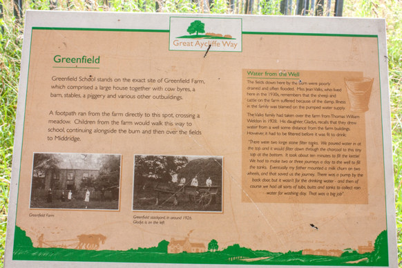 Sedgefield Borough Council - Woodland Trust