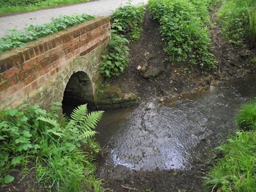 The Esher Commons - Arbrook Common - Woodland Trust