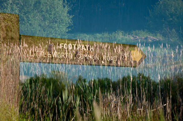 Elmbridge Commons - Littleworth Common - Woodland Trust